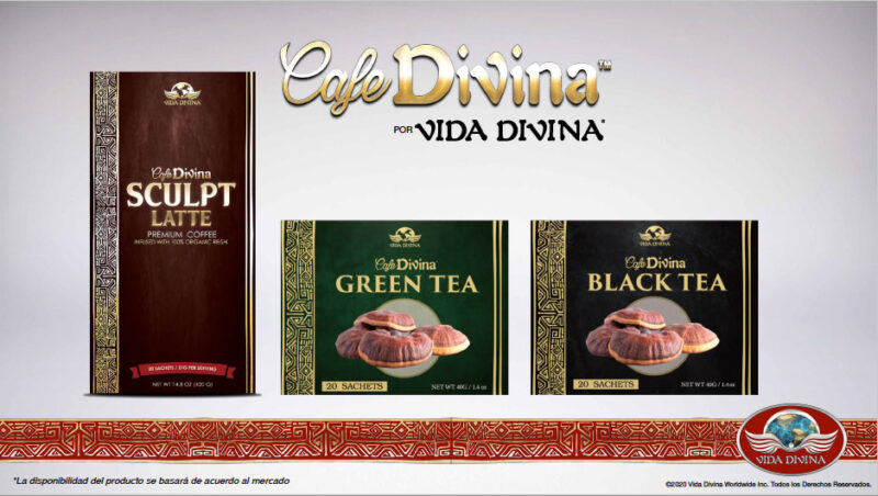 Presentacion Vida Divina - Salud y Dinero